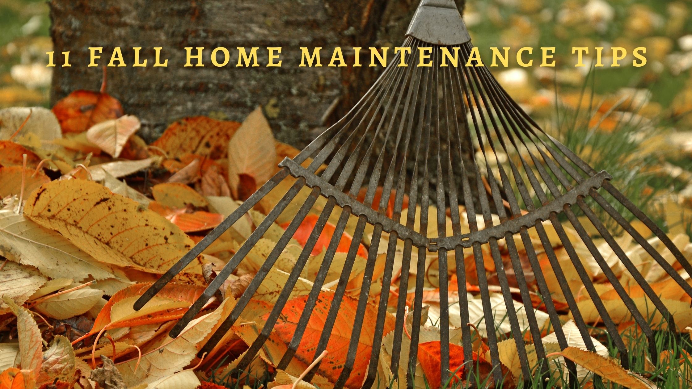 Fall Home Maintenance Tips: 11 Seasonal Home Items